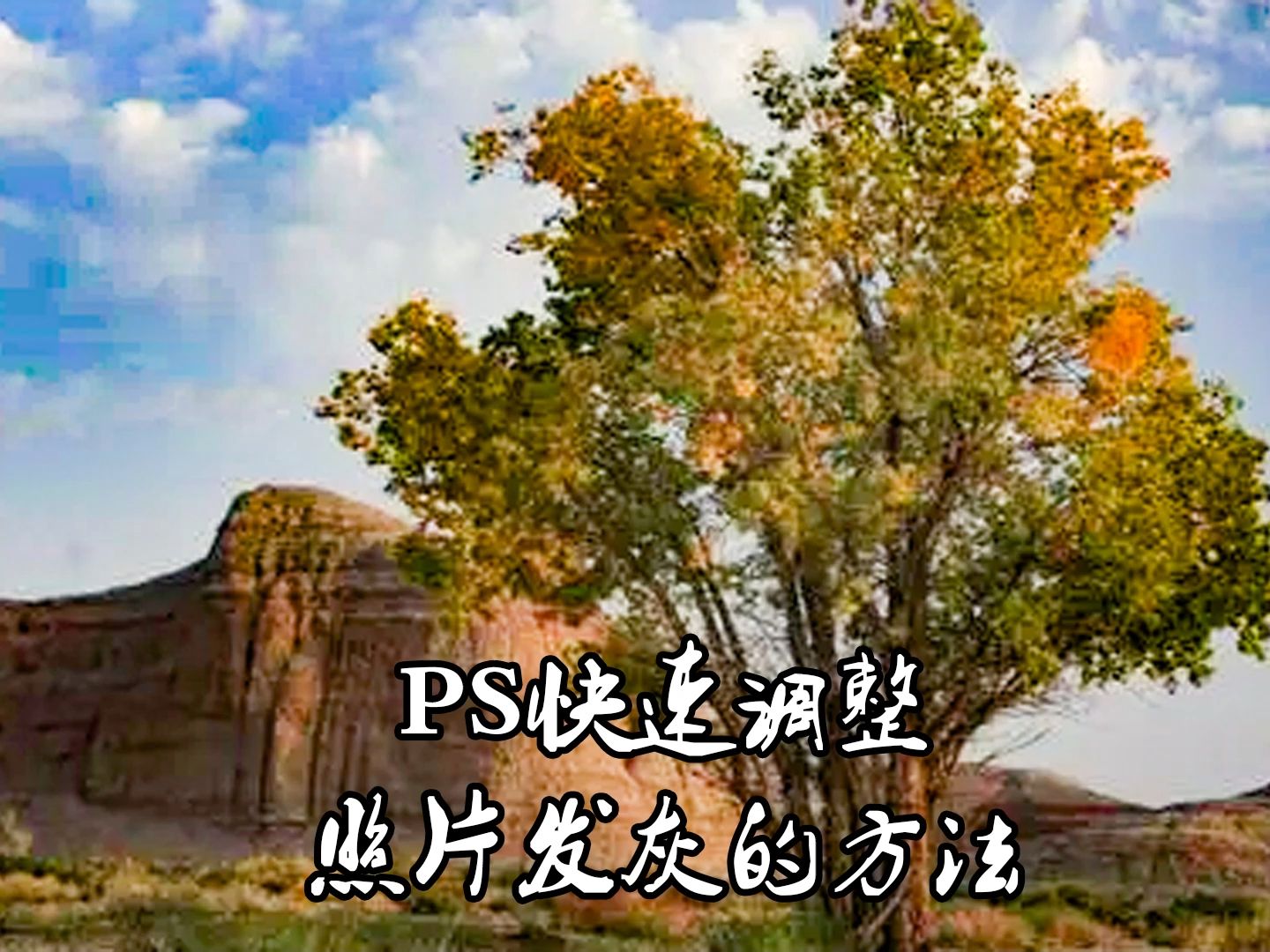 PS快速调整照片发灰的方法