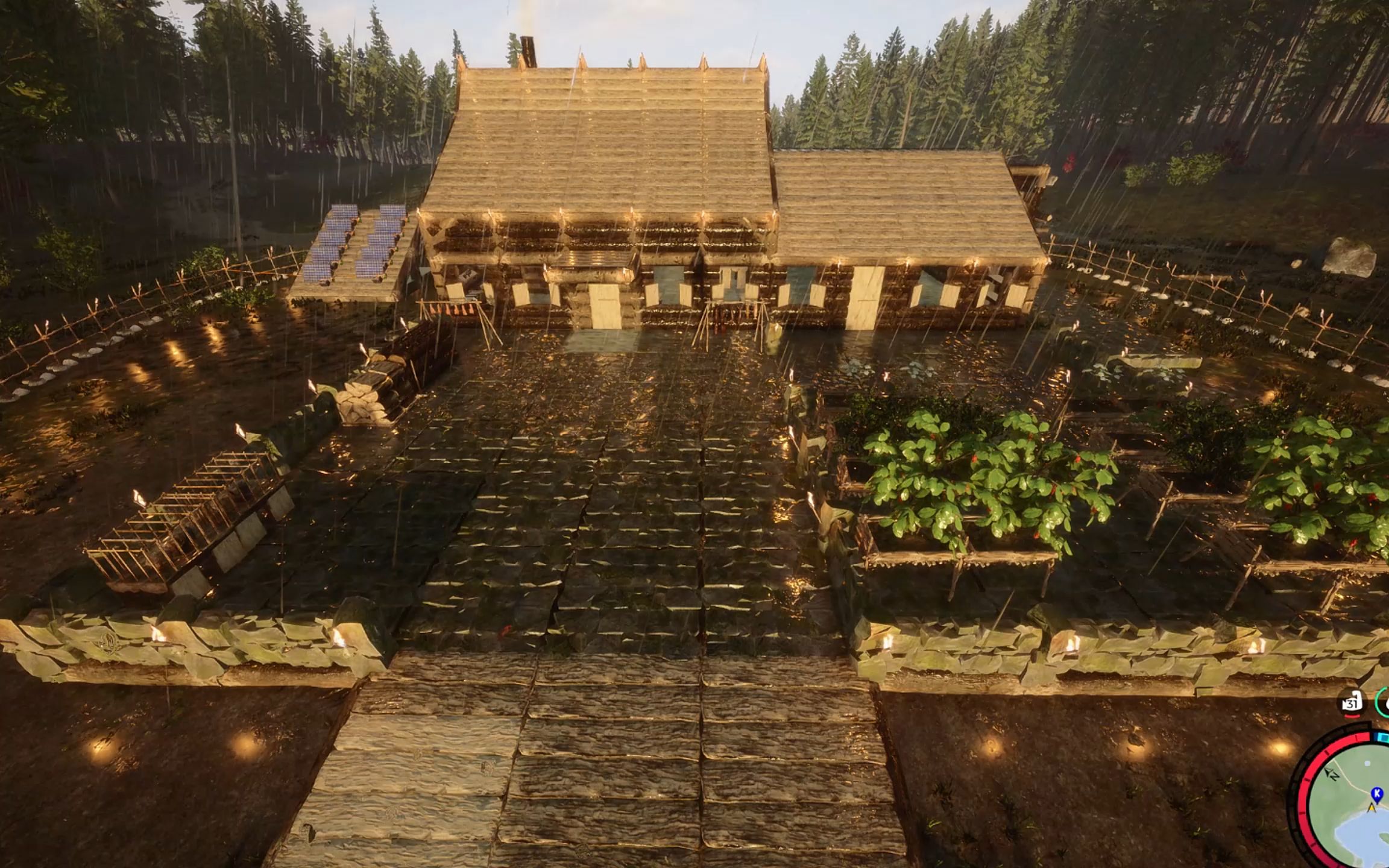 森林之子-【治愈系列】我在森林当野人的一天