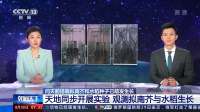 问天舱搭载拟南芥和水稻种子已萌发生长:天地同步开展实验 观测拟南...