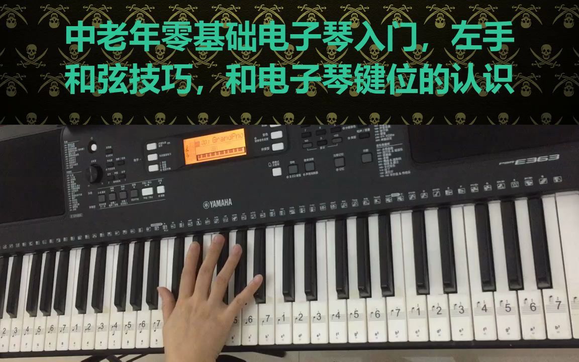 零基础电子琴入门自学教程,适合初学者在家练习,简单易学