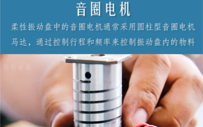 柔性振动盘的结构之音圈电机