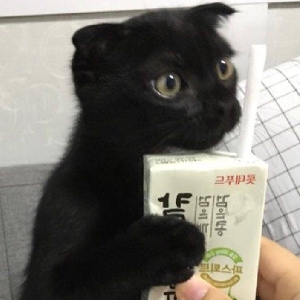 Leo丶Getit 