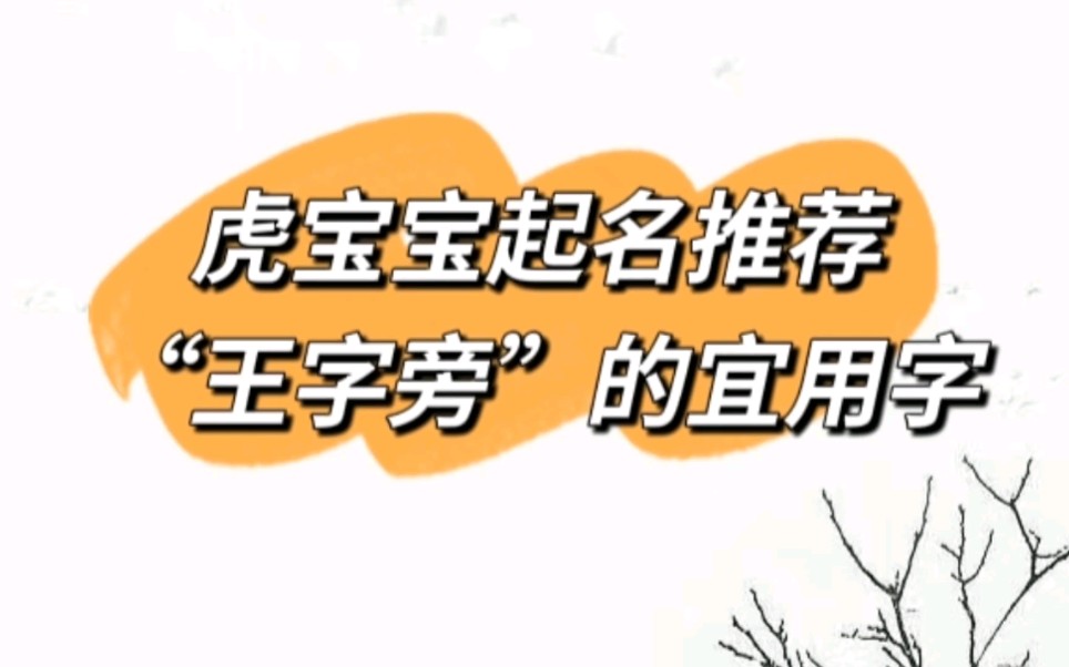 虎宝宝起名推荐,“王字旁”的宜用字