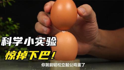 简单有趣的创意科学小实验，在家陪孩子轻松实验，一起涨知识吧！