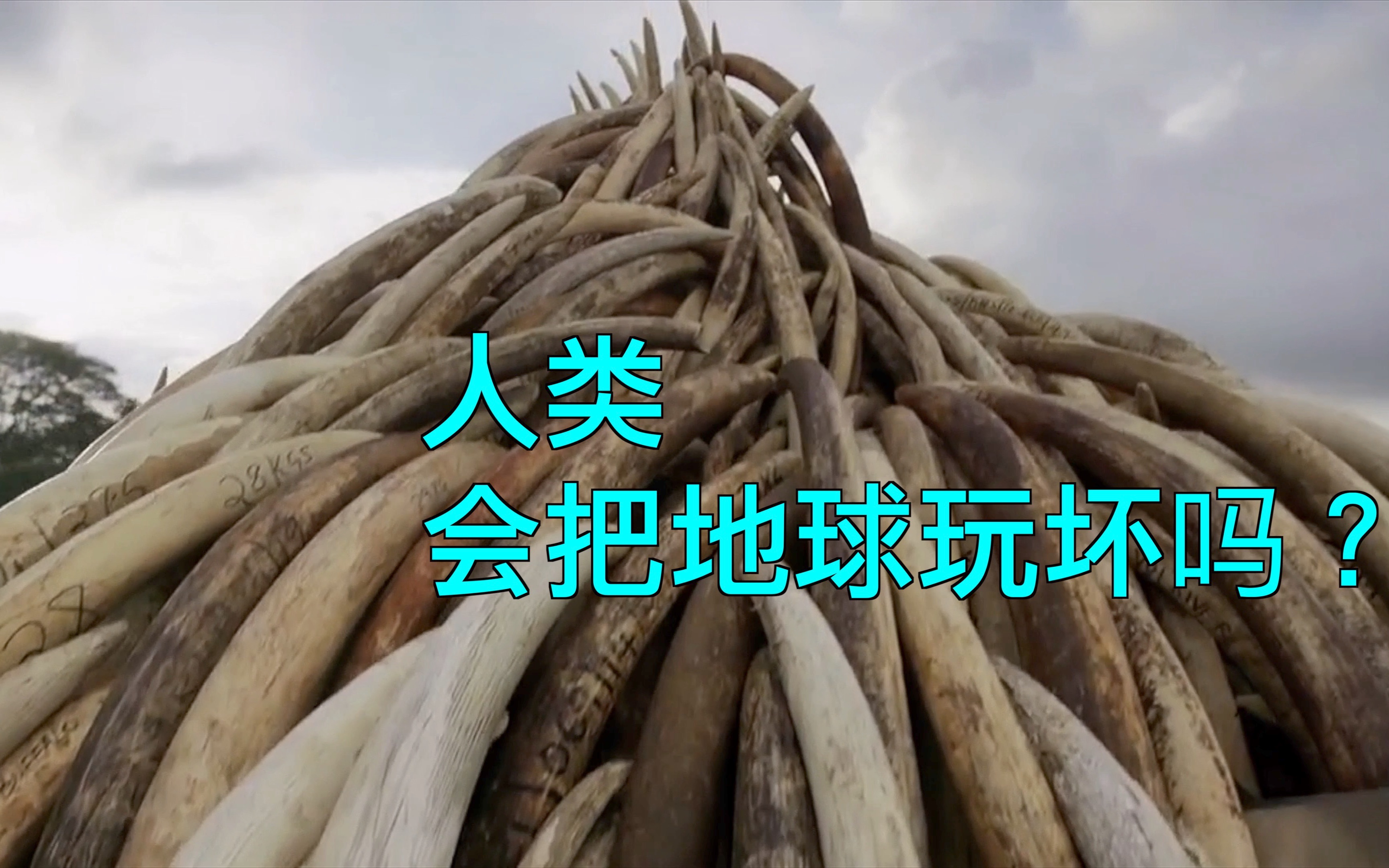 为什么只有北极熊没有南极熊?今天的地壳板块还在漂移吗?人类会把...