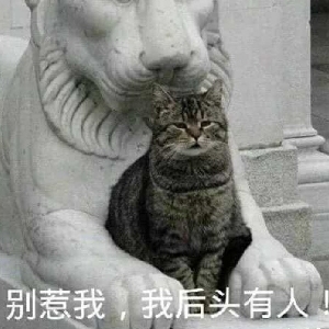 笑的像个孩子的二百斤 