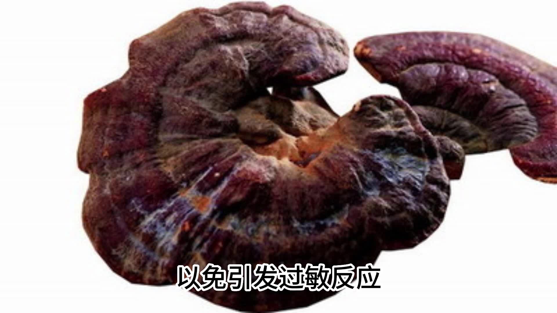 灵芝的功效作用及禁忌人群,灵芝的功效与注意事项
