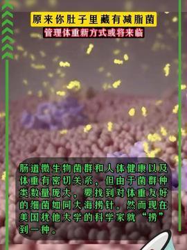 ...文献:2025年11月6日《细胞代谢》DOI:10.1016/j.cmet.2025.10.007
