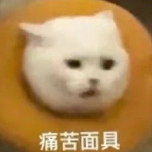 爱玩游戏的豆豆子 