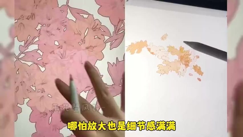 无偿分享 psprocreatecsp画世界pro全套花卉笔刷 超全花卉笔刷大合集!...