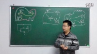 手把手教你画电路图