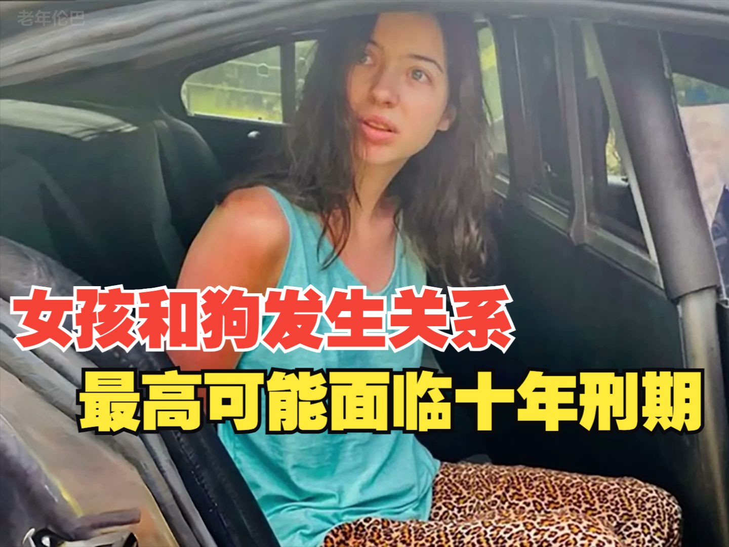 女孩和狗“发生关系”,最高可能面临十年刑期