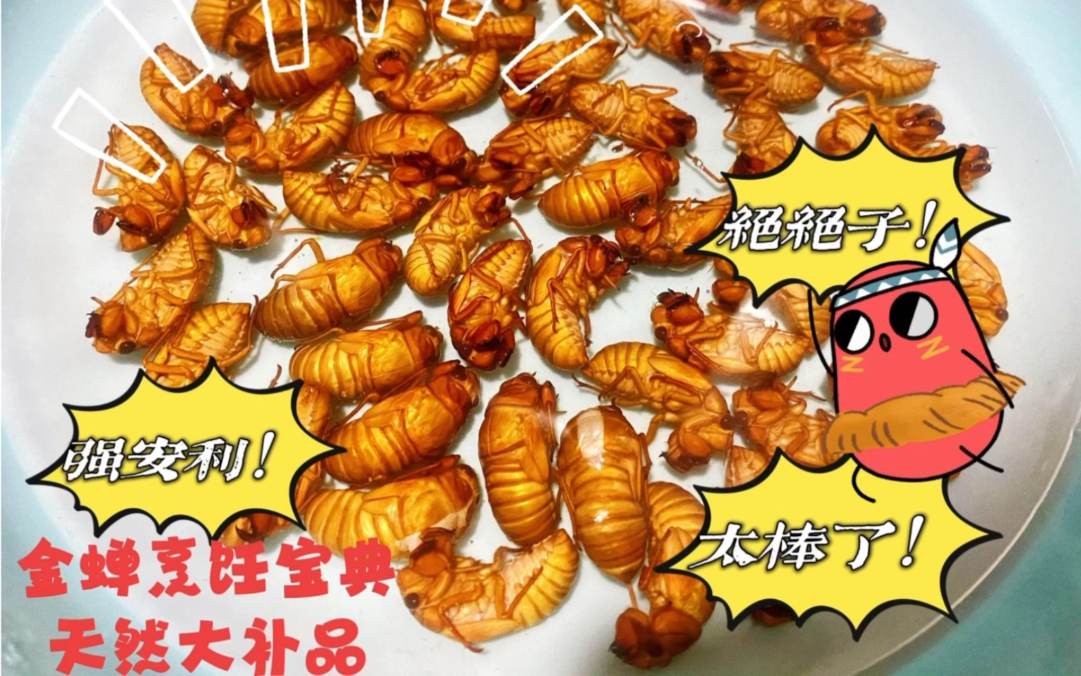 勇敢尝试.敬畏生命.知了猴的做法与功效