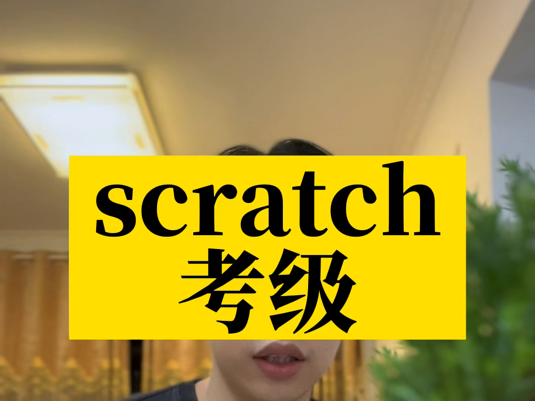 ...学习scratch的孩子,想参加考级,这个一定要知道,考试大纲都在这本书里