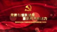 新林区税务局党建宣传片2020.mp4