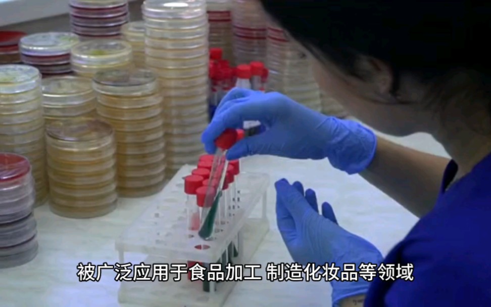 “氢化植物油”美国立法禁用,但在中国苏州合资建厂大规模生产!