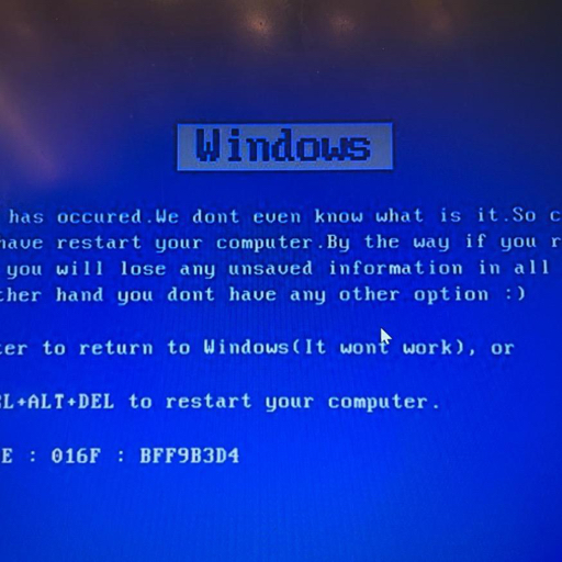 人见人爱的熊熊 