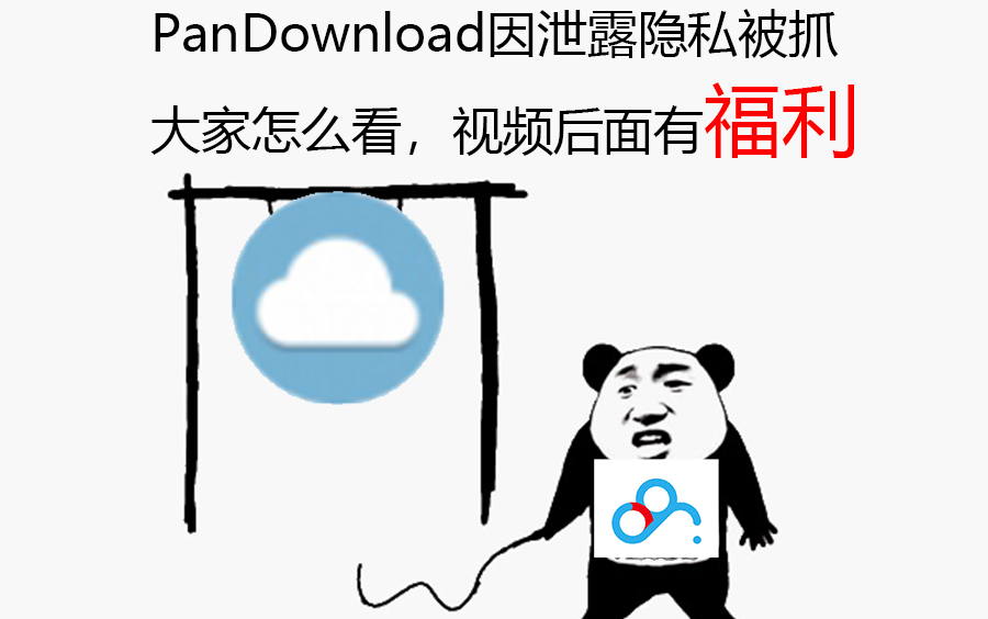 PanDownload泄露隐私被抓,大家怎么看,视频后面有福利