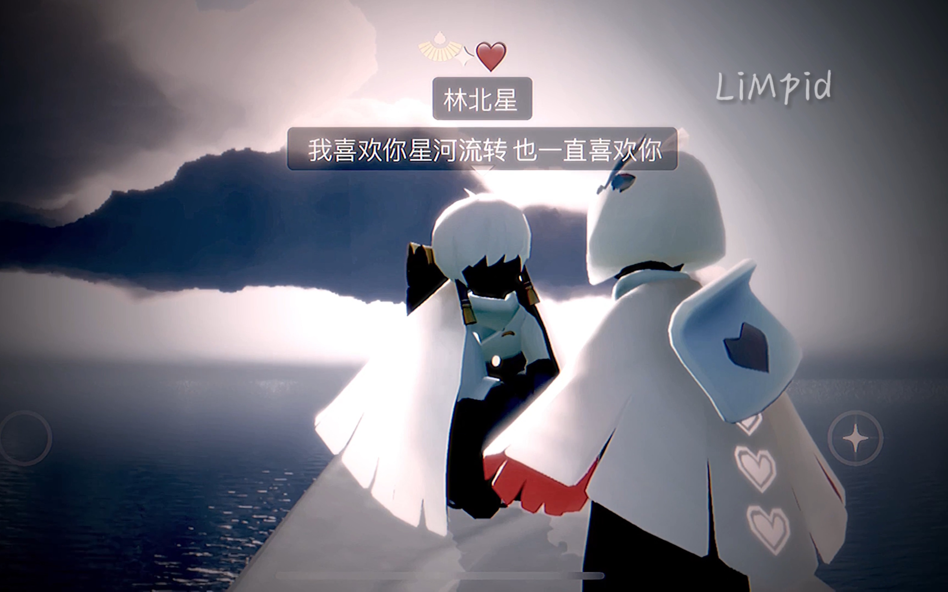 森林中,北极星是唯一的方向。