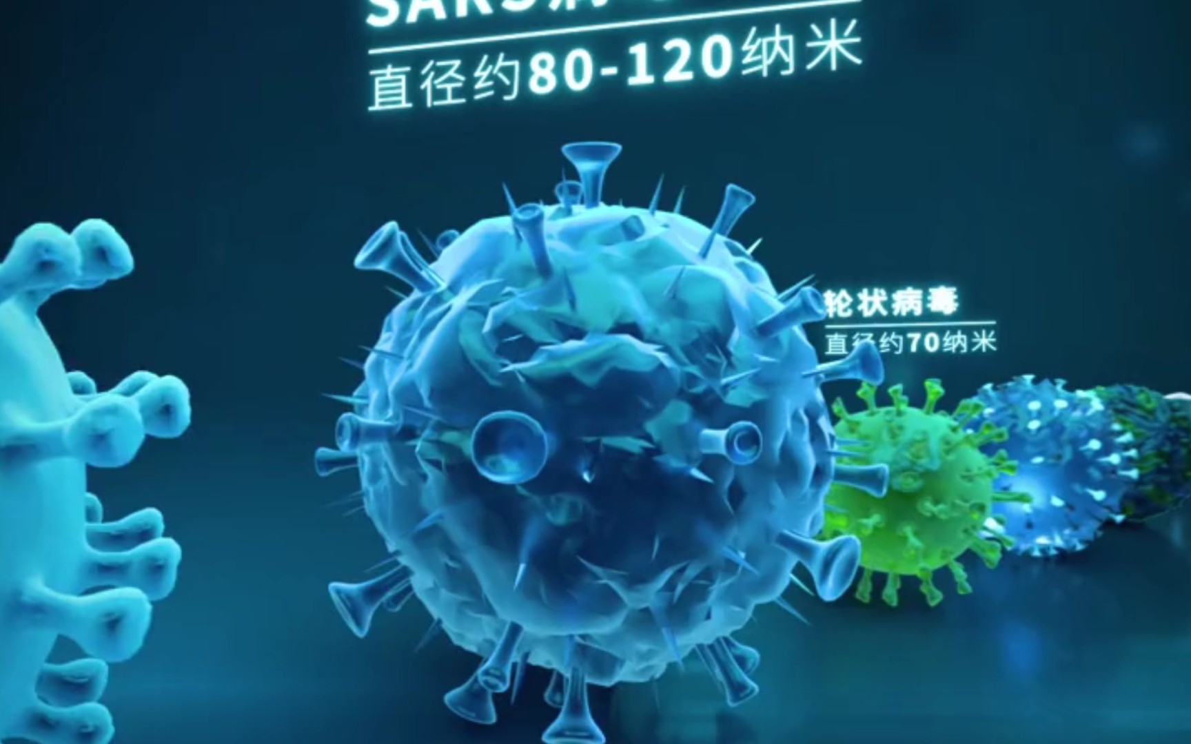 细菌与病毒大小对比