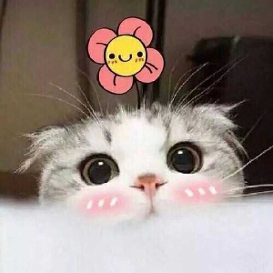 柳小糖sukey 