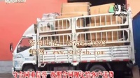 专供河南郑州学校食堂厨房设备