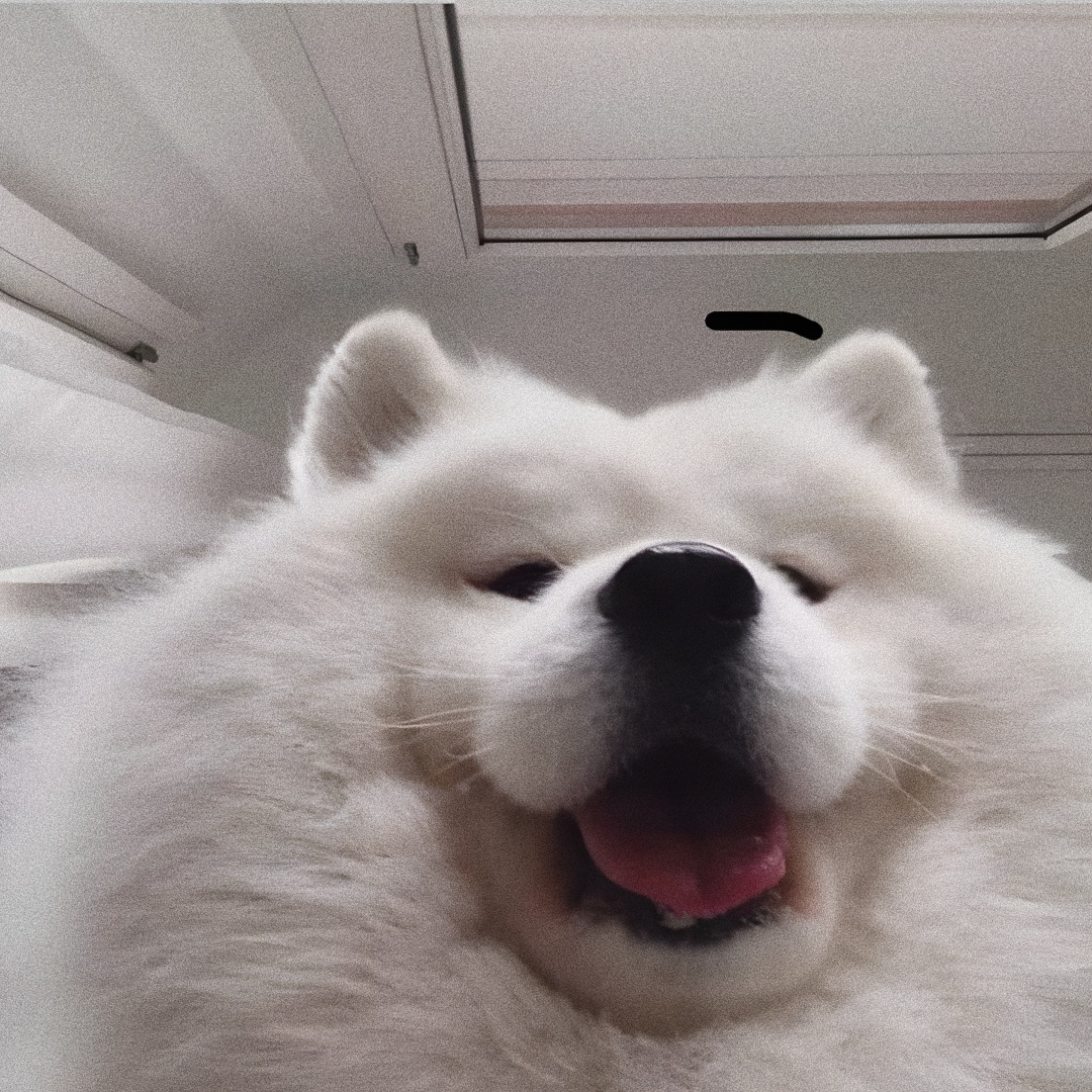 等待下一次天晴 