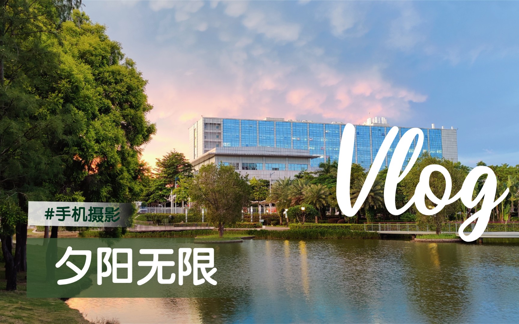 ...一台相机吗?手机也能拍出来?一加8pro+奥川手机稳定器拍摄最美晚霞!