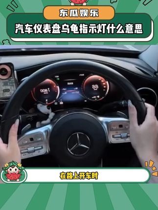 汽车仪表盘上的乌龟标志代表什么呢?#汽车知识 #冷知识 #乌龟晒太阳...