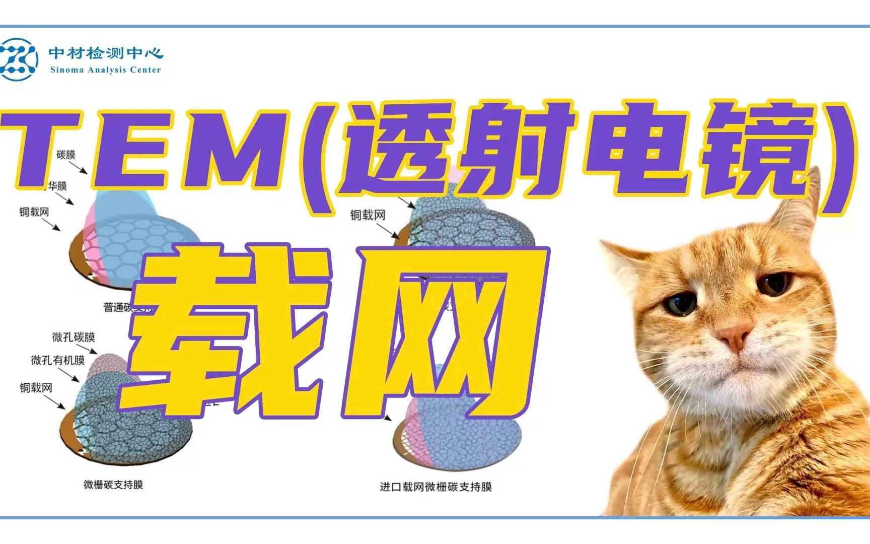 【新人向】教你如何选择和分辨载网——TEM测试(透射电镜)基础知识