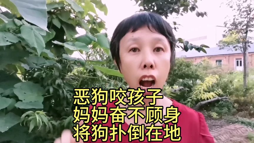 恶狗咬孩子,体重只有80斤的妈妈将狗扑倒在地