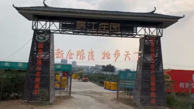 知道陈皮的制作过程吗?知道陈皮哪里的最好吗?新会陈皮独步天下