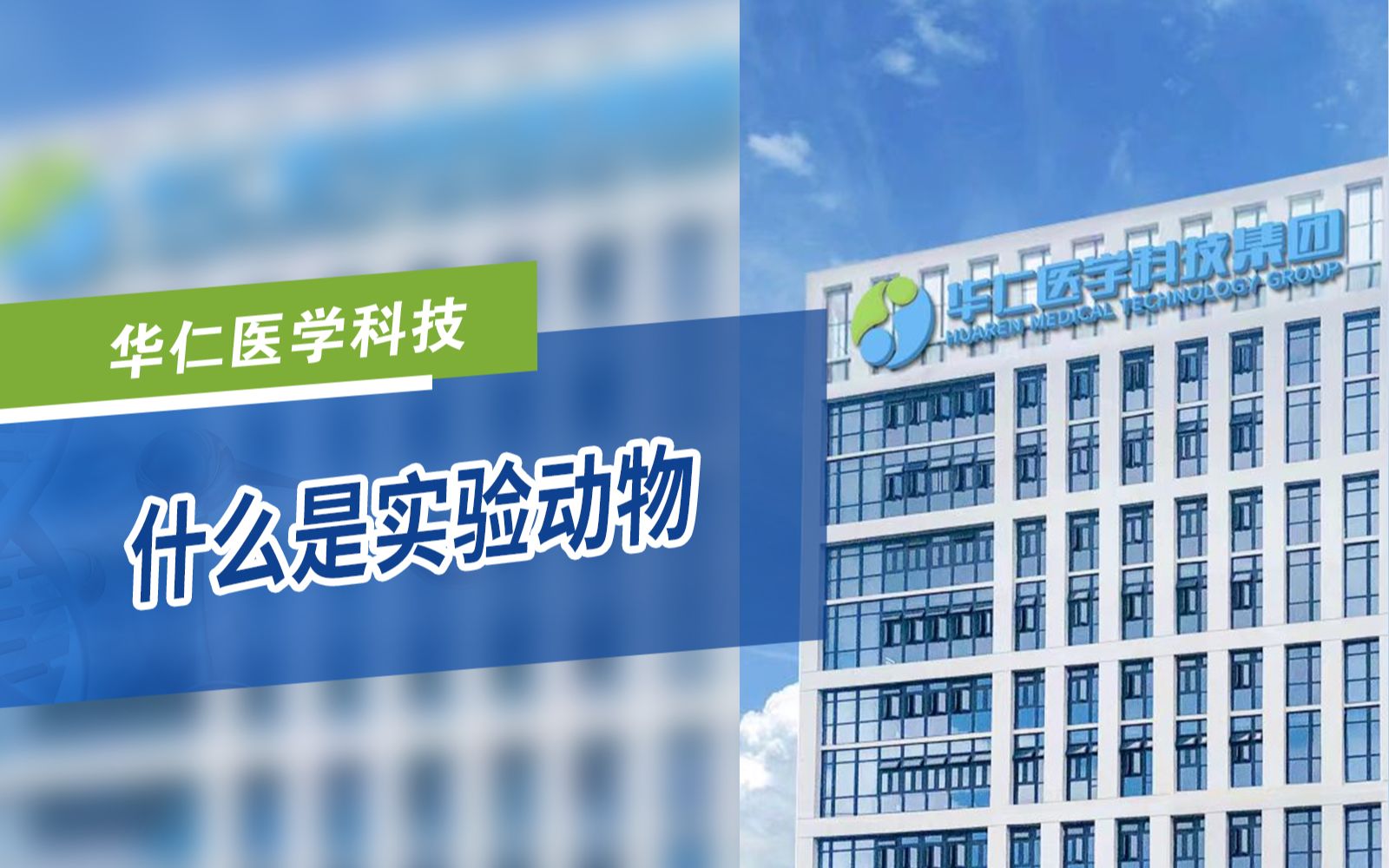 什么是实验动物?