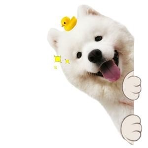 肥皂的日记