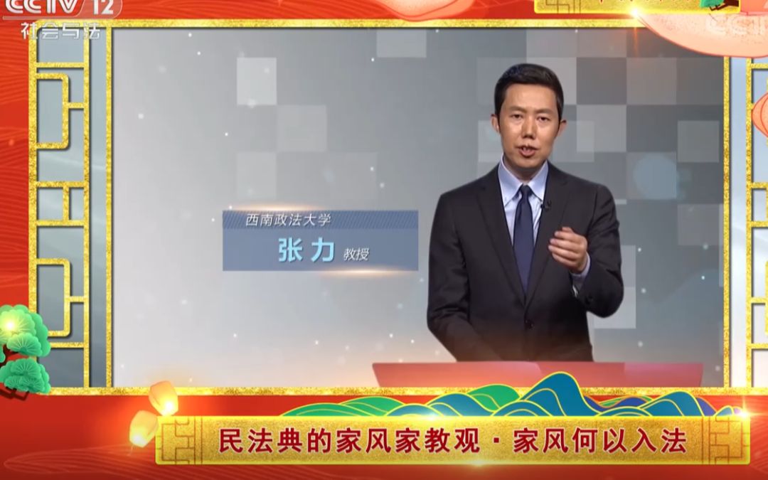 《法律讲堂》文史版特邀西南政法大学张力教授为您讲述《民法典的...