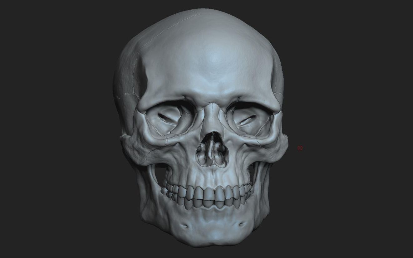【ZBrush】逼真人类头骨雕刻建模实例制作教程(中英双字)