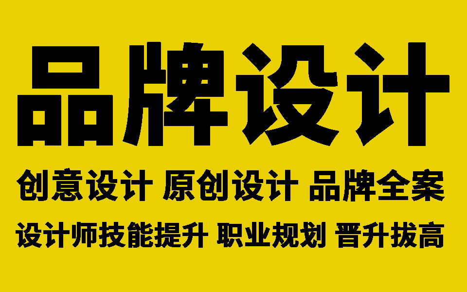 平面设计师高薪秘笈:作品集打造术+个人职业规划发展