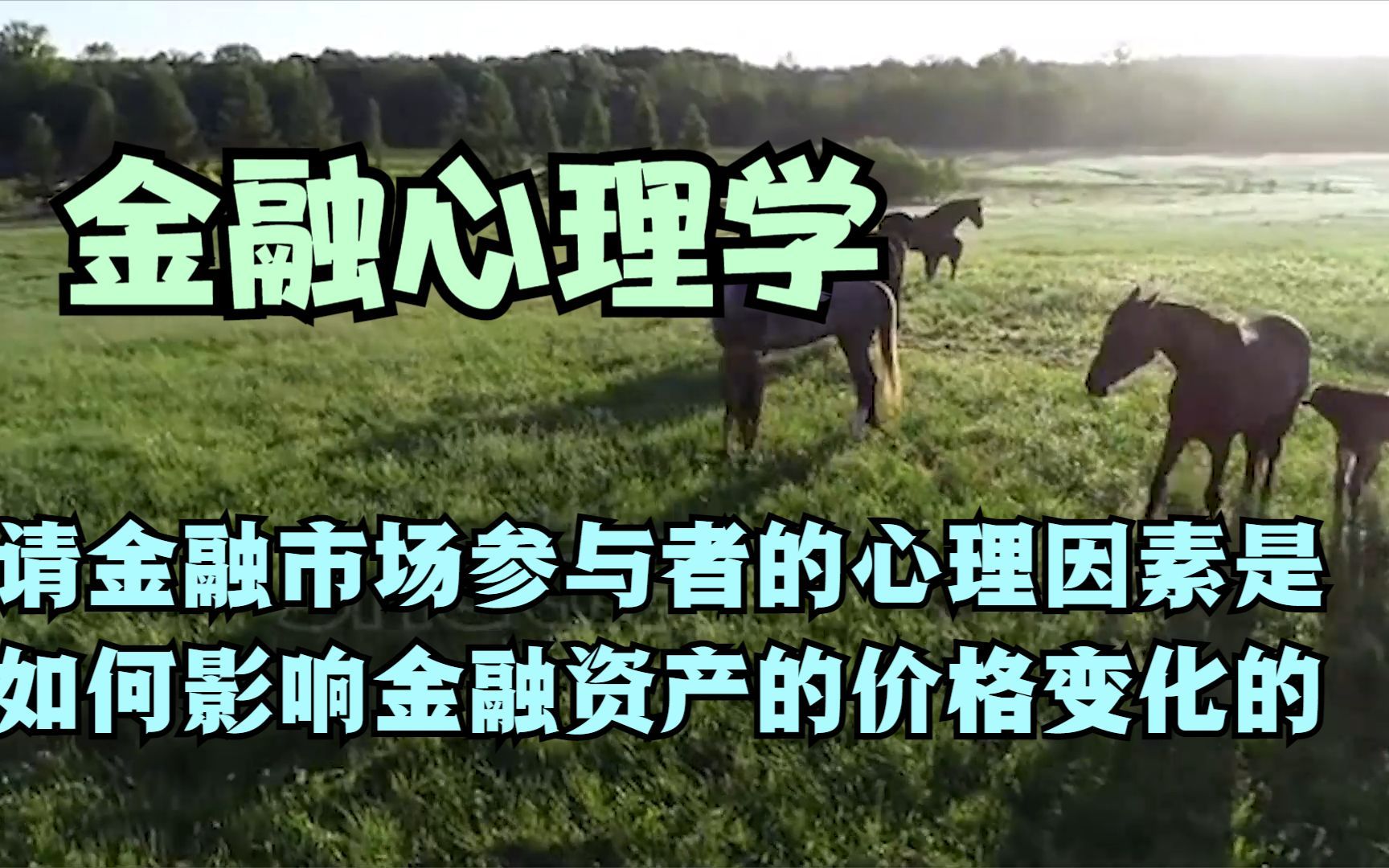 《金融心理学》金融市场参与者的心理因素是如何影响 价格变化的