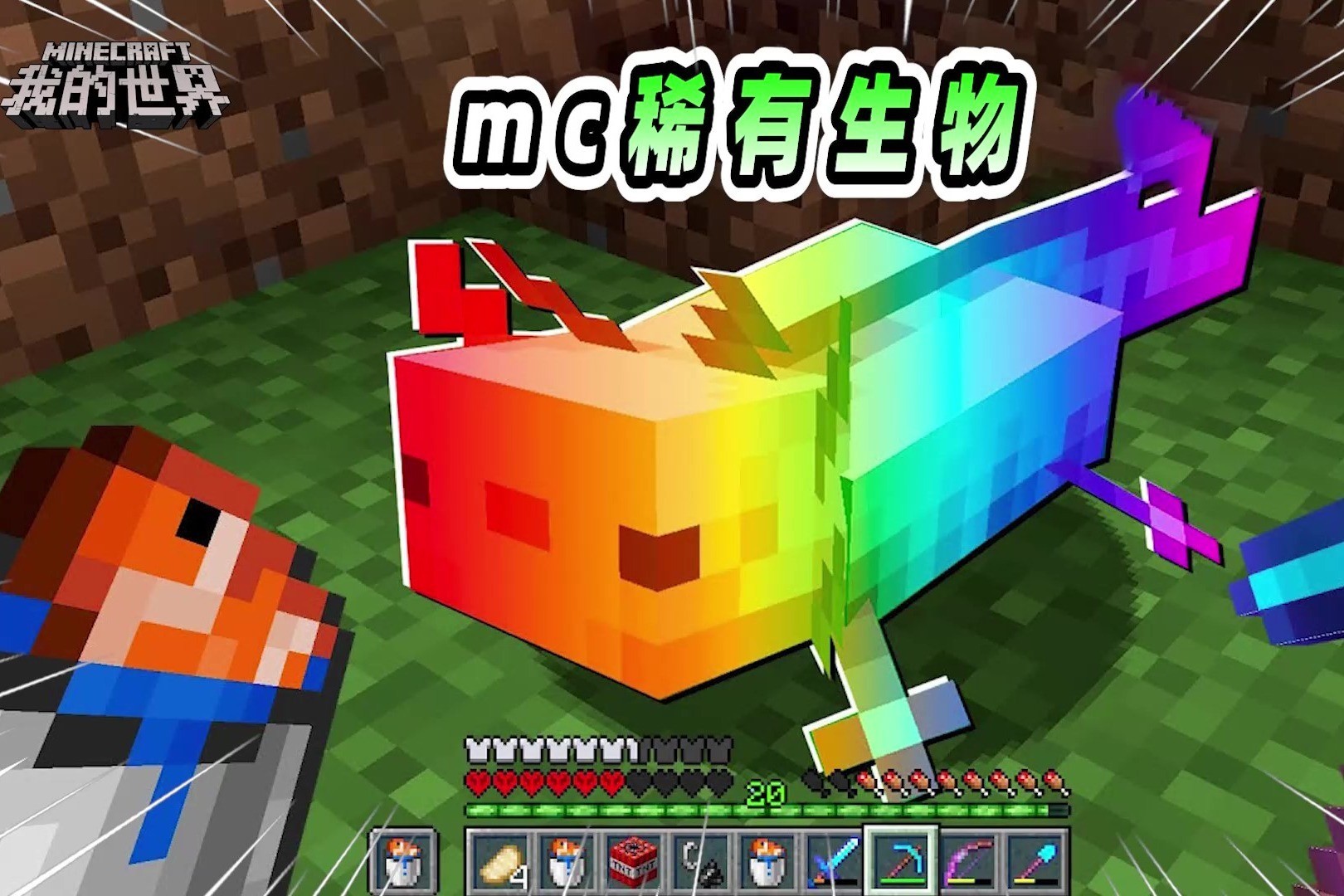 我的世界:捕获mc中最稀有的生物,并为它们分别打造一个家!