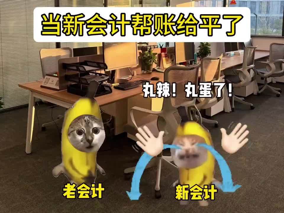当新会计把账给平了
