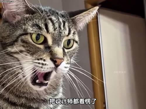 优秀的设计总是心有灵犀