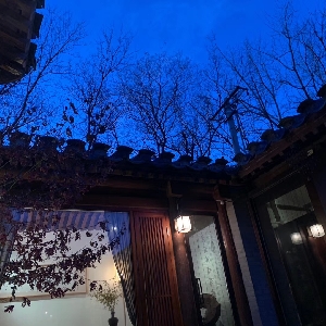 历史第一教练卢卢 