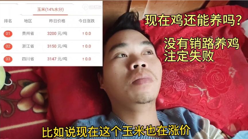 现在玉米3200元一吨,鸡苗也涨了,如果现在养鸡注定失败