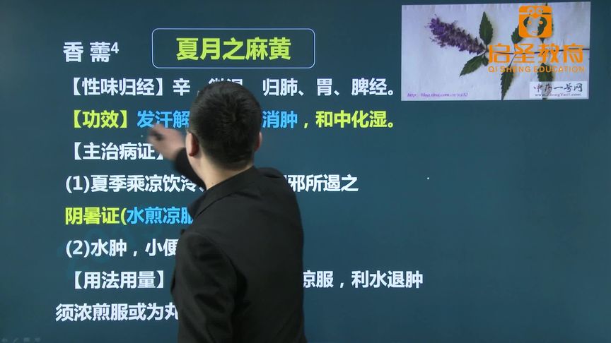 辛温解表单味中药:香薷、桂枝,学浪计划