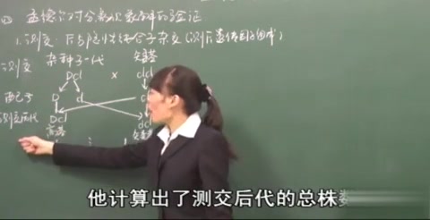 高中生物必修2(人教版)①