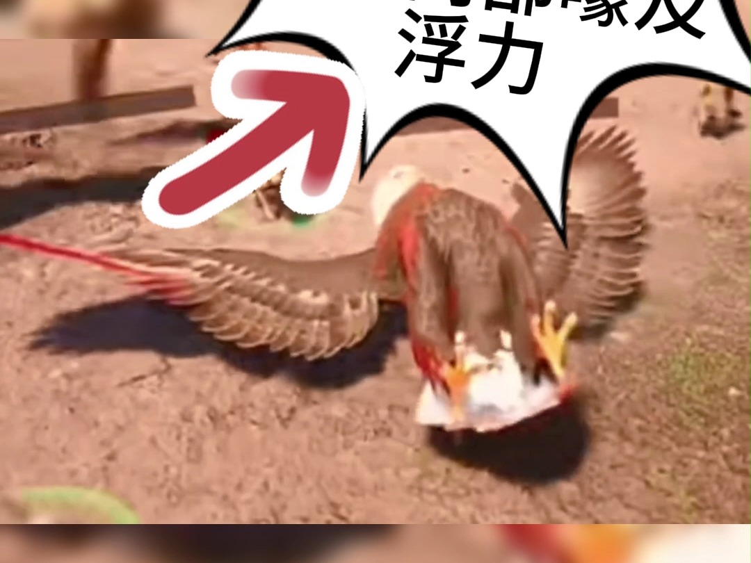 《野兽领主新世界》攻略大全, 新手入门保姆级攻略教程