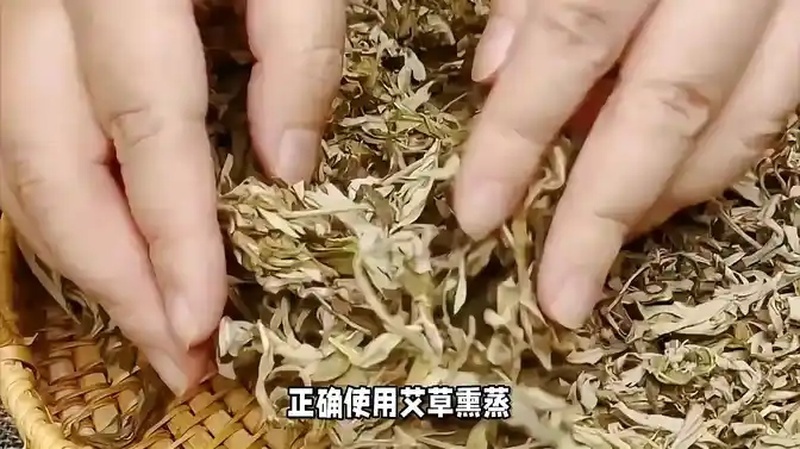 正确使用艾草熏蒸,可以有效预防疾病、消毒空气