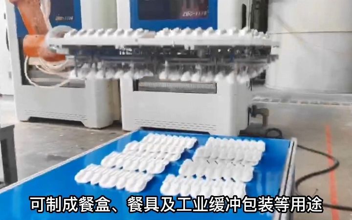 什么是纸浆模塑?