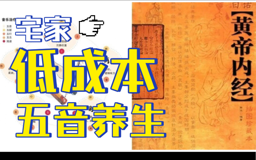 ...和应用校选课|新能源聊五音|生命新能源之五音养生(宅家低成本养生法)