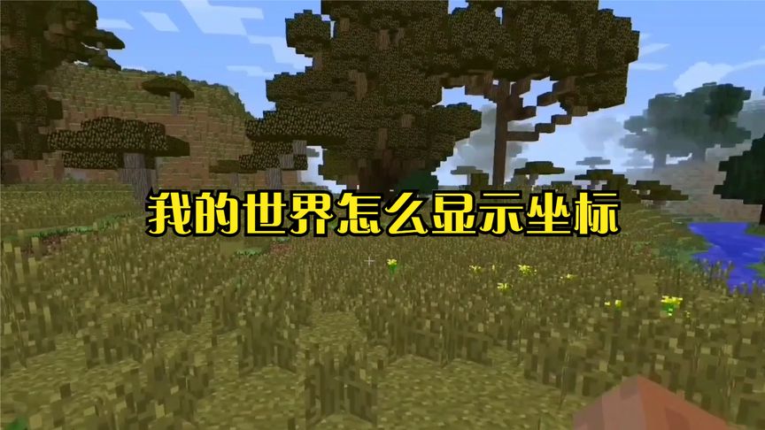 我的世界怎么显示坐标